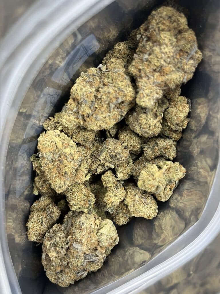 Buy Pure Michigan Strain Online | Weed Wholesale Canada